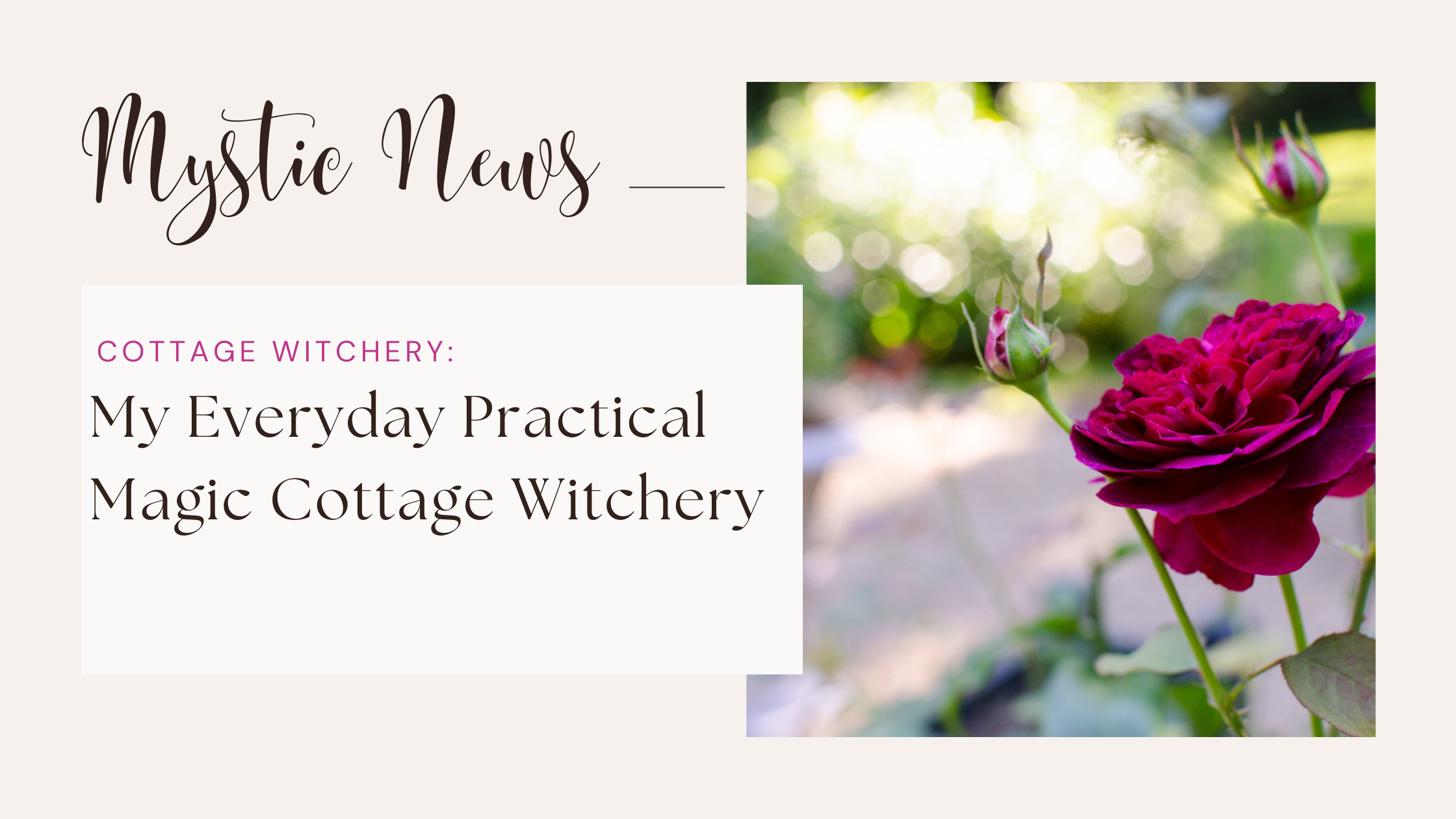 My Everyday Practical Magic Cottage Witchery – Mystic Moon Potions Co